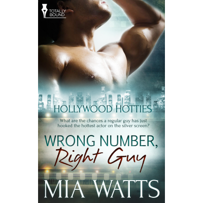 Wrong Number, Right Guy